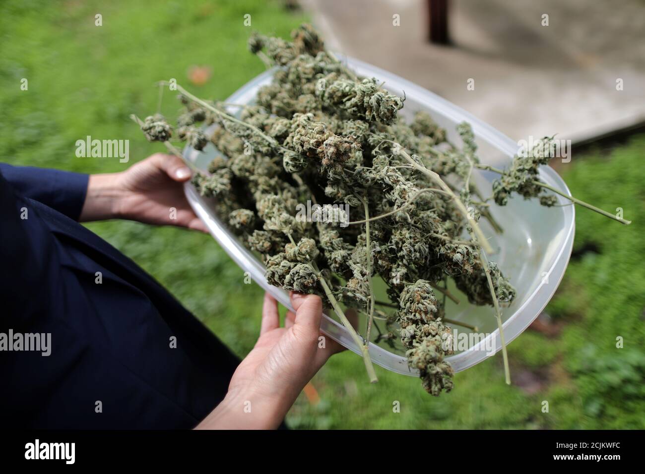 Eevee hi-res stock photography and images - Alamy