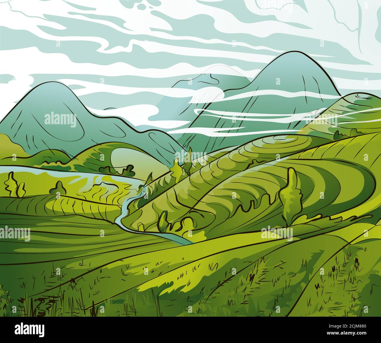 Vector rice or tea plantation on a cascading field on a mountain in ...