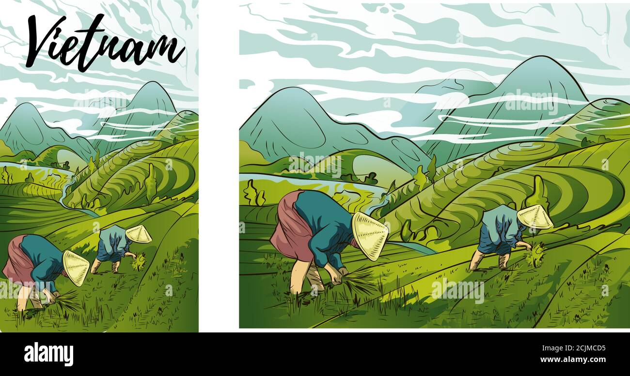 Illustration of farmers planting rice in the fields, rice field ...