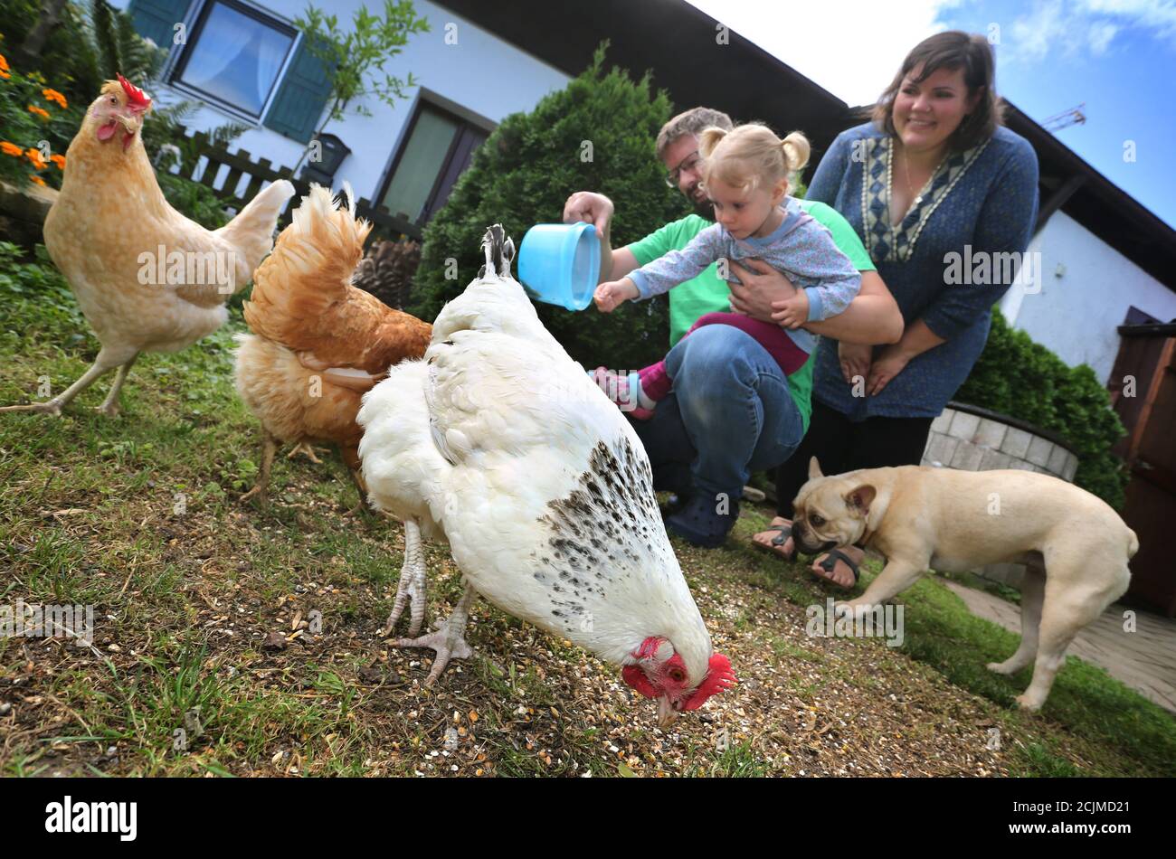Feed the chickens hi-res stock photography and images - Alamy
