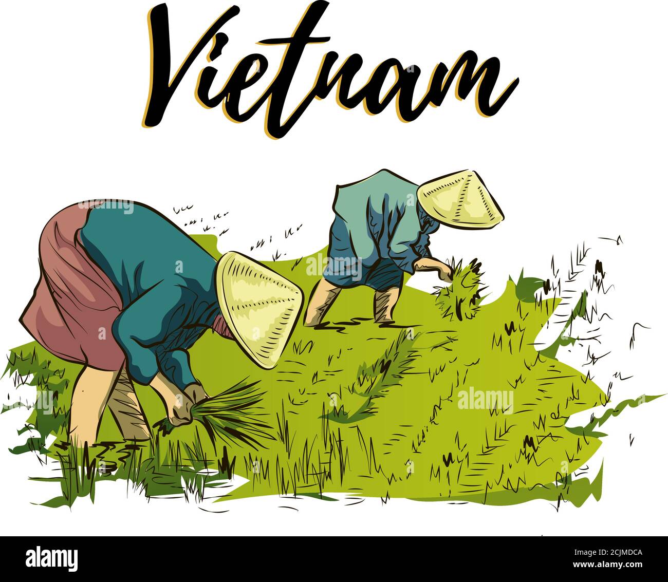 Vietnamese peasants plant rice. Farmers work in rice fields, line ...
