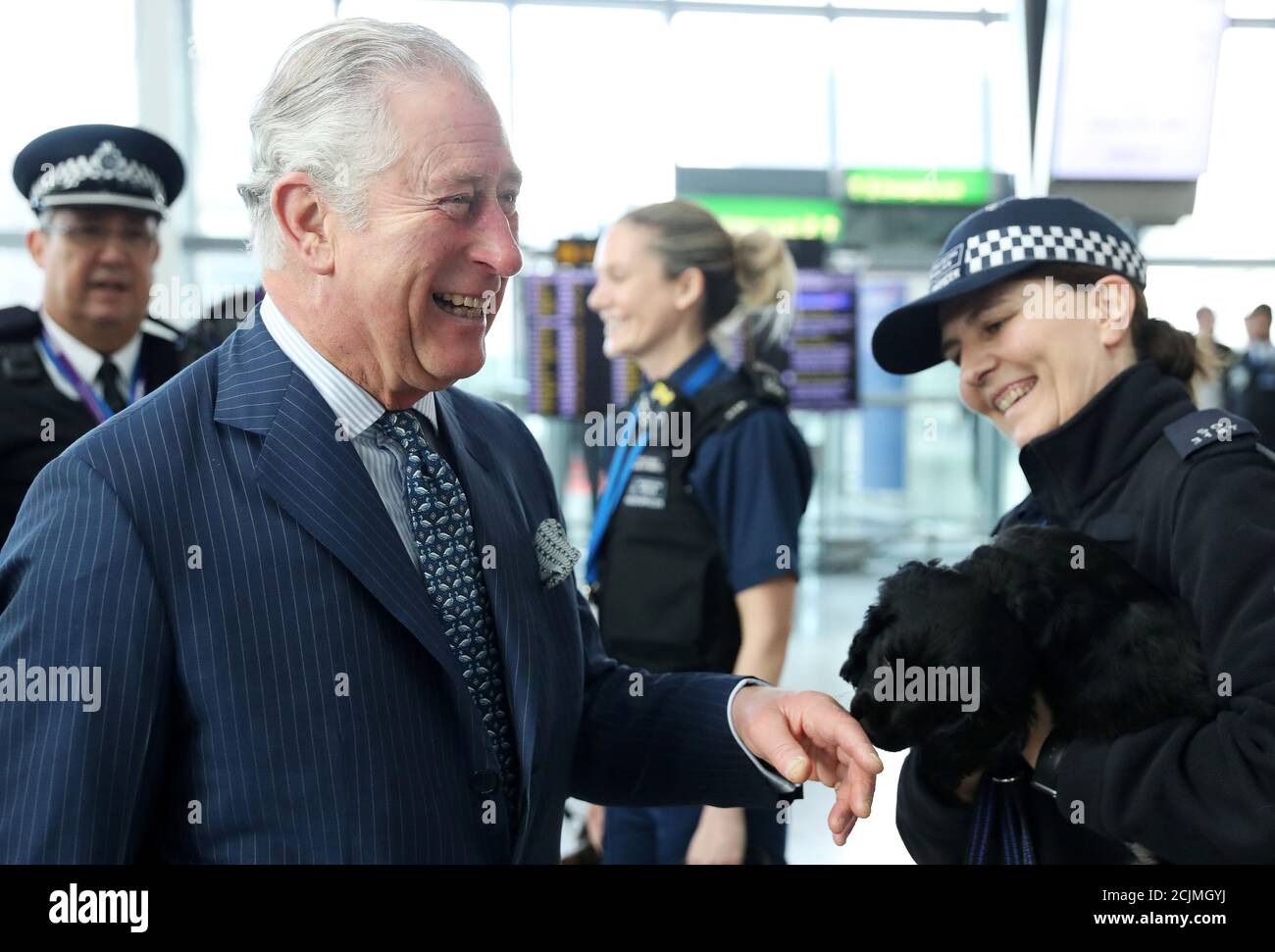 Prince charles spaniel hi-res stock photography and images - Alamy