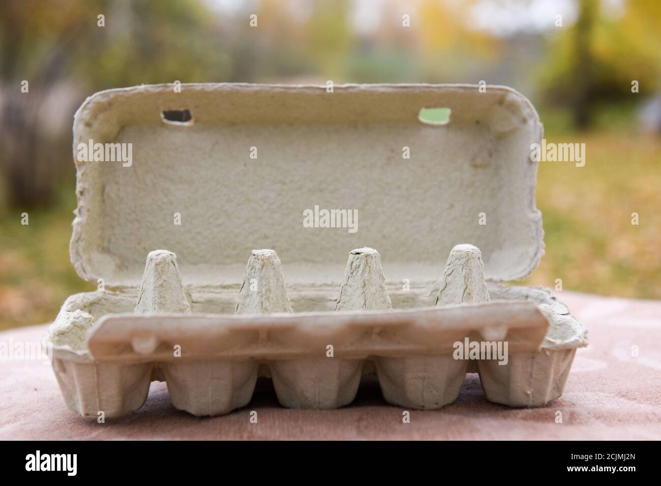 Empty egg box hi-res stock photography and images - Alamy