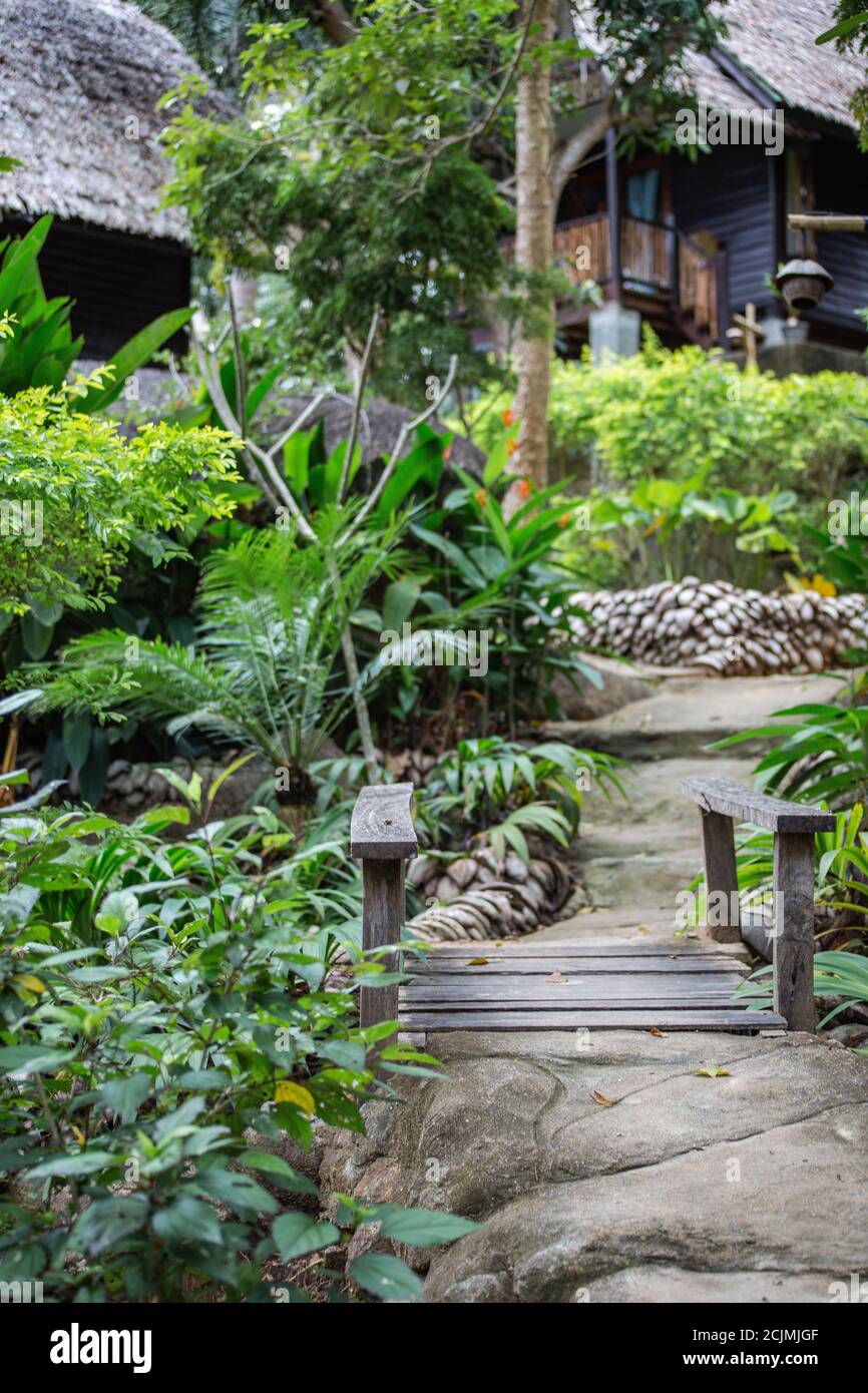 Footpath with Stairs, Resort at Ko Phangan Thailand Stock Photo - Alamy
