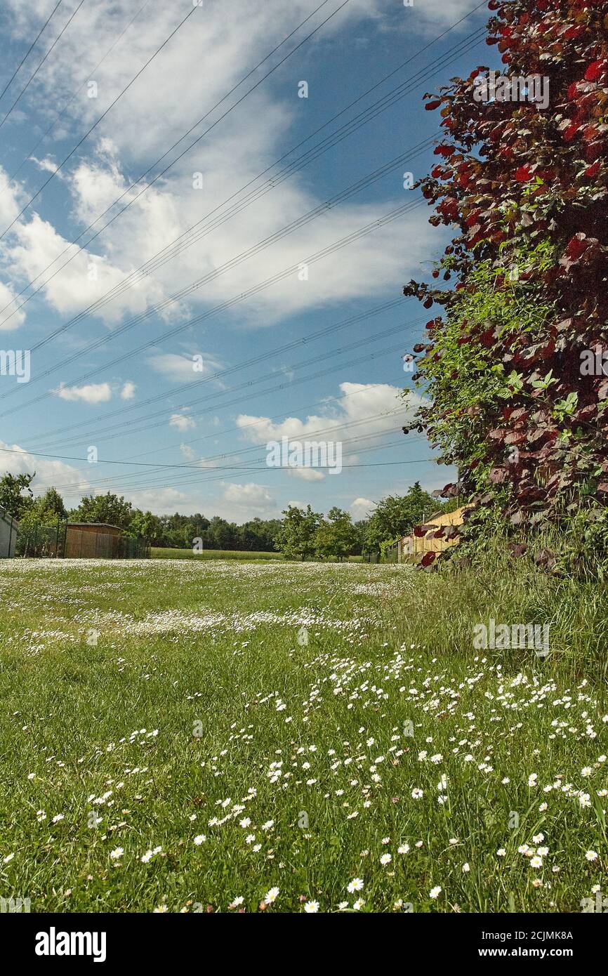 German vacation farmhouse hi-res stock photography and images - Alamy