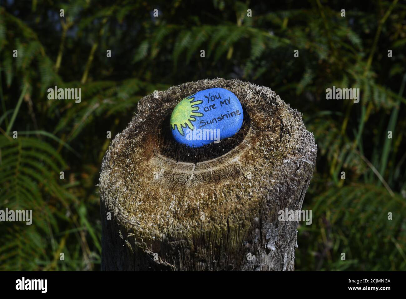 You are my sunshine, painted on a stone. Blue skies with a sun. On a ...