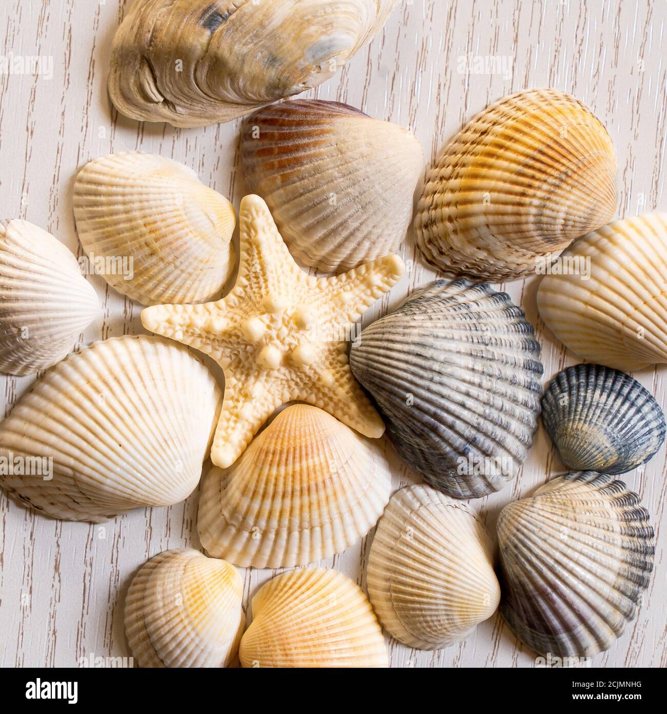 Sea, shells and glasses, sea star beach vacation Stock Photo - Alamy