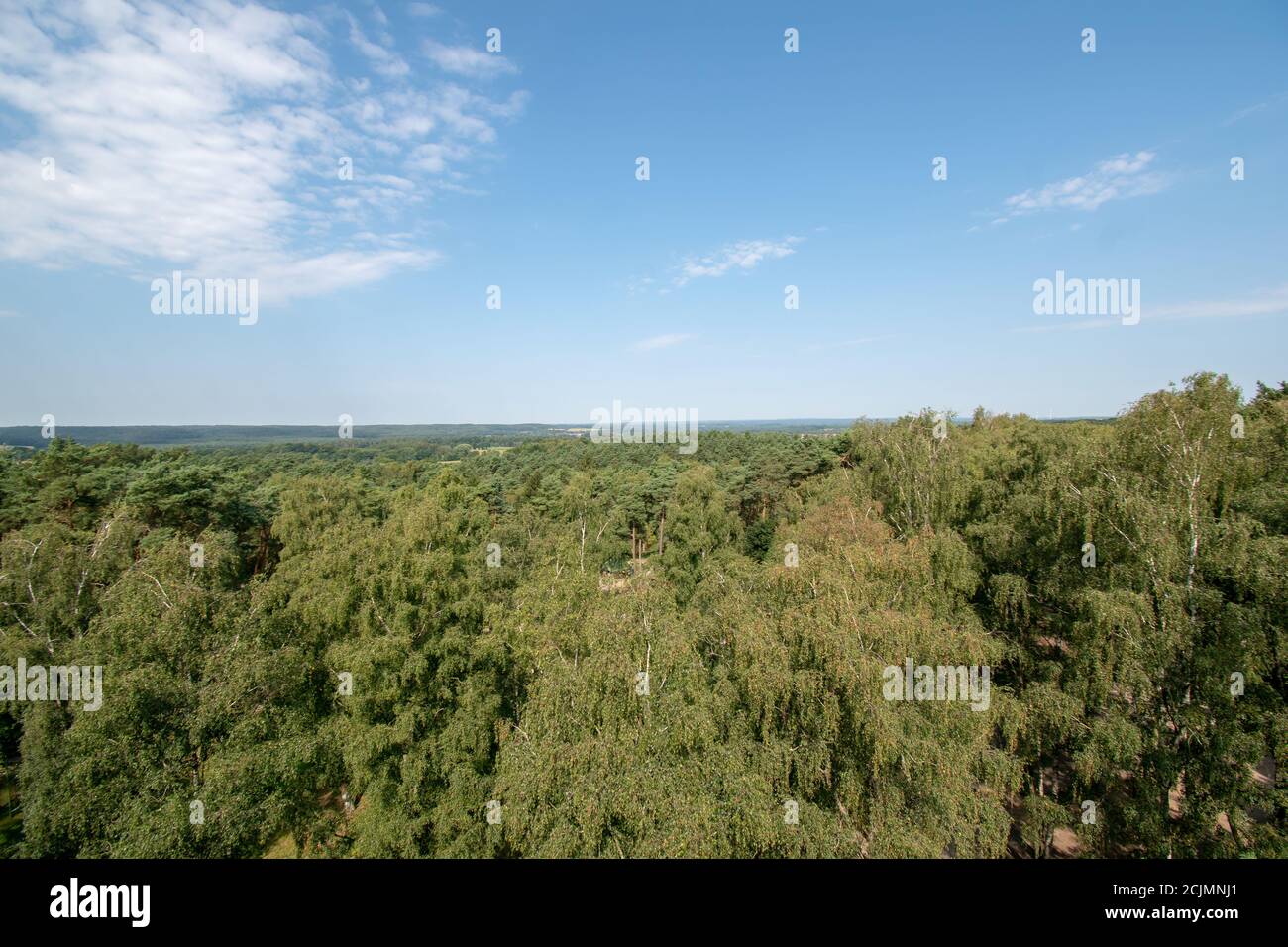 Aerial shot dense forests hi-res stock photography and images - Alamy