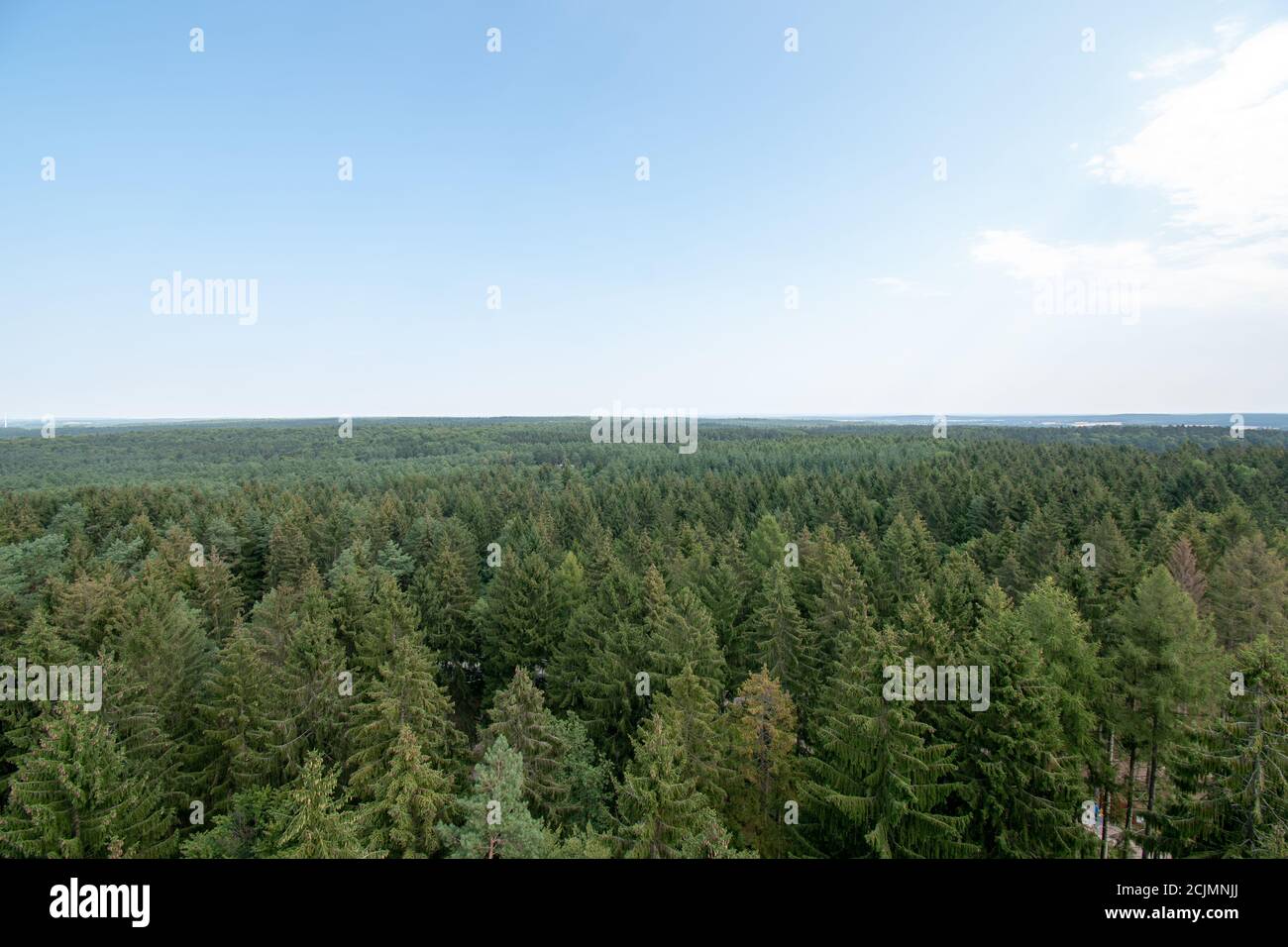 Aerial shot of dense forests Stock Photo - Alamy