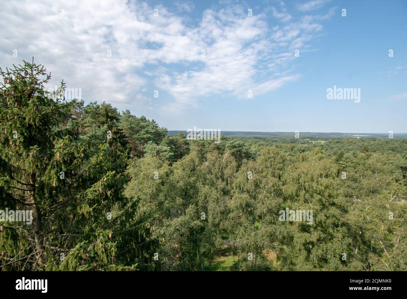 Aerial shot of dense forests Stock Photo - Alamy