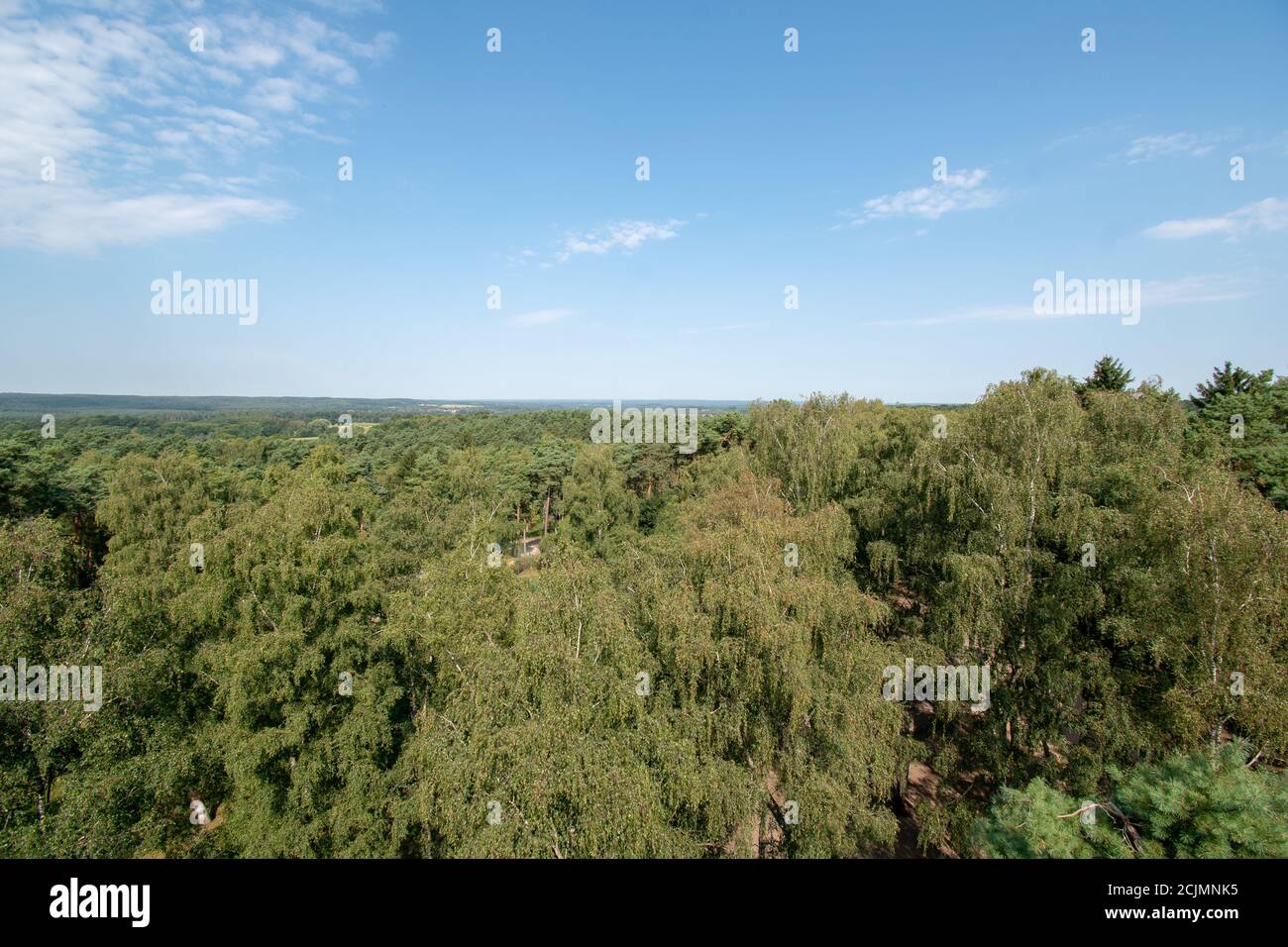Aerial shot dense forests hi-res stock photography and images - Alamy
