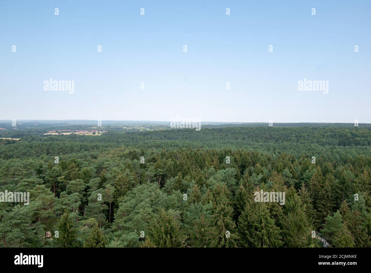Aerial shot of dense forests Stock Photo - Alamy