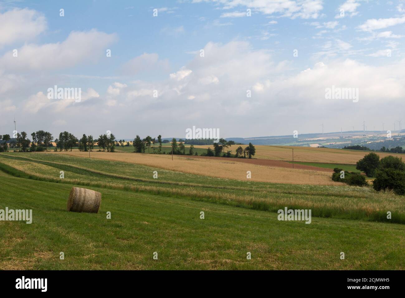 Hay roll in the green field in a rural area Stock Photo - Alamy