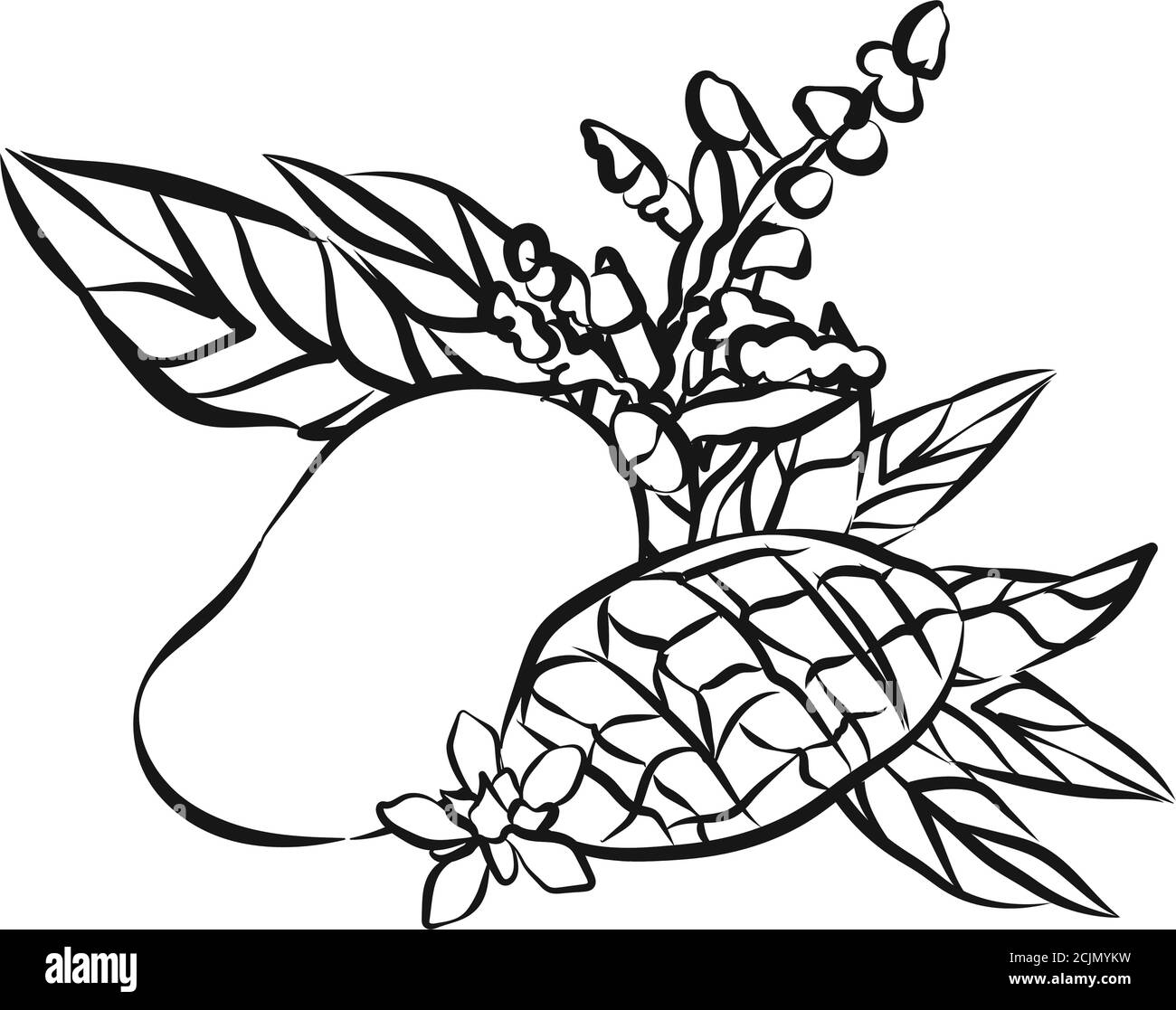 Mango Leaf Line Drawing