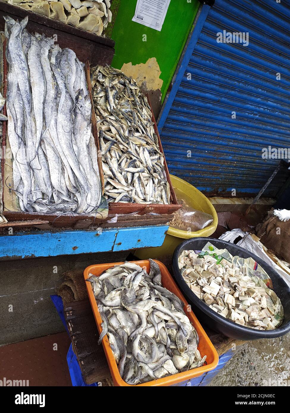 Dry fish stall market, Kerala, India Stock Photo - Alamy