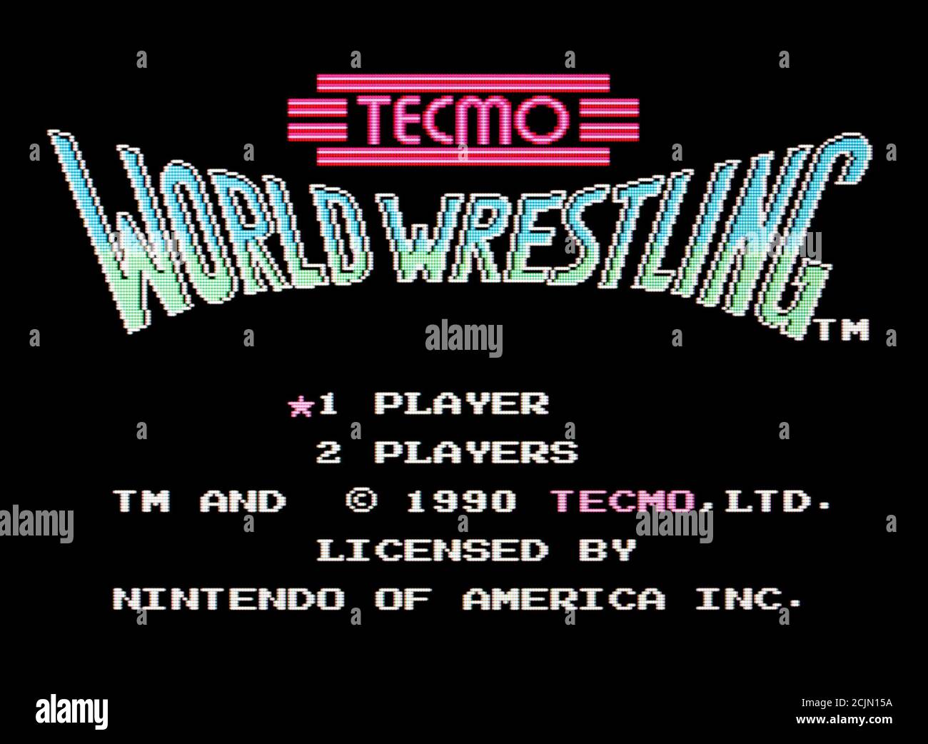 Tecmo World Wrestling - Nintendo Entertainment System - NES Videogame ...