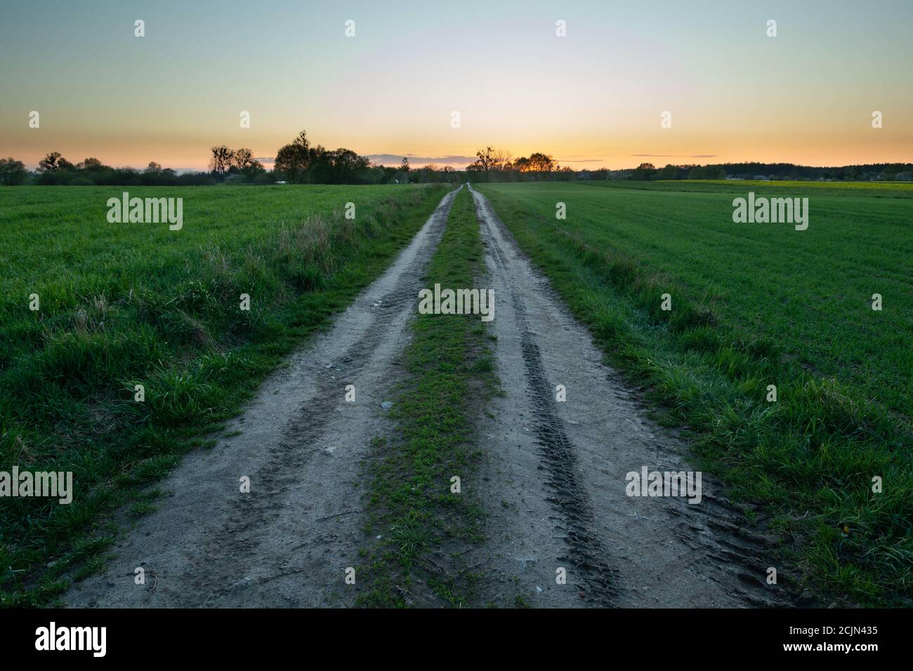 Dirt road through green fields, view after sunset Stock Photo - Alamy