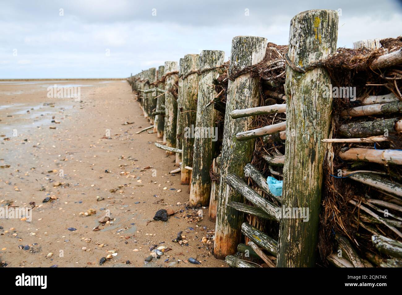 plastic pollution and garbage on coastal protection and land ...