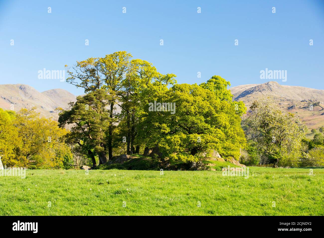 The knoll ambleside hi-res stock photography and images - Alamy