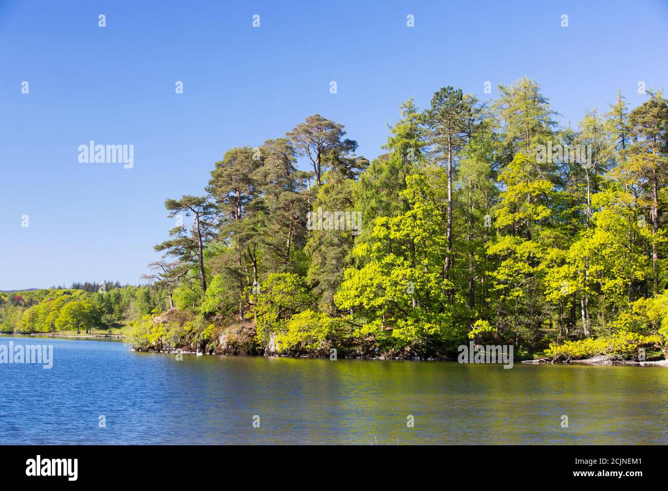 Woodlands surrounding the head of Lake Windermere, Ambleside, Lake ...