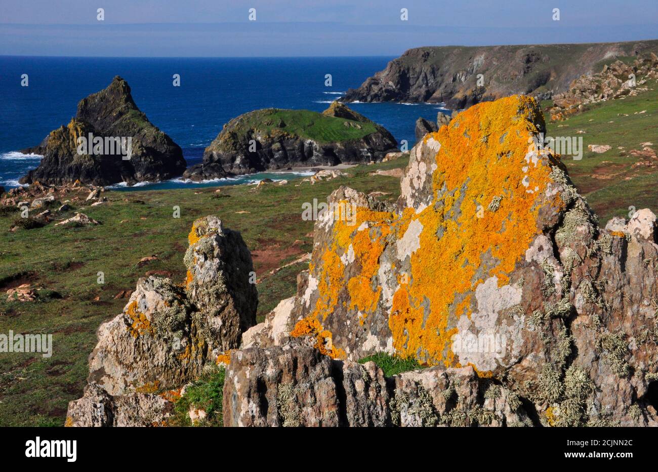 Lichen covered granite rocks above Kynance Cove on the Lizard peninsula ...