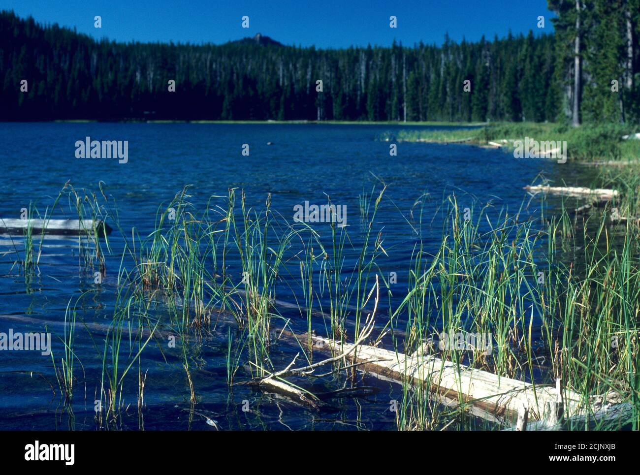 Maidu lake hi-res stock photography and images - Alamy