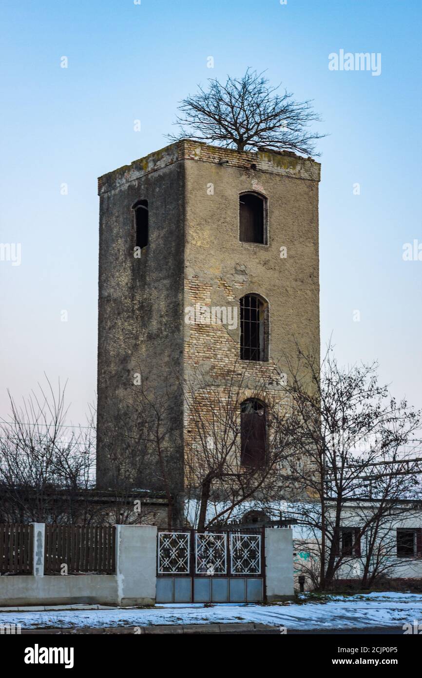 Tall concrete building surrounded by leafless trees at daytime Stock ...