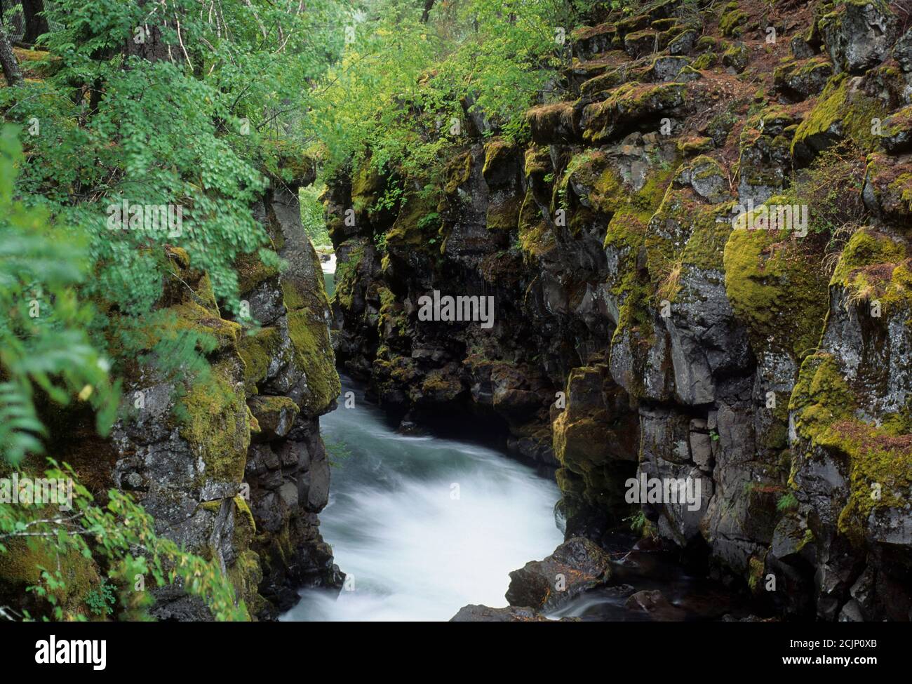 Rogue River Gorge, Rogue Wild and Scenic River, Rogue River National ...