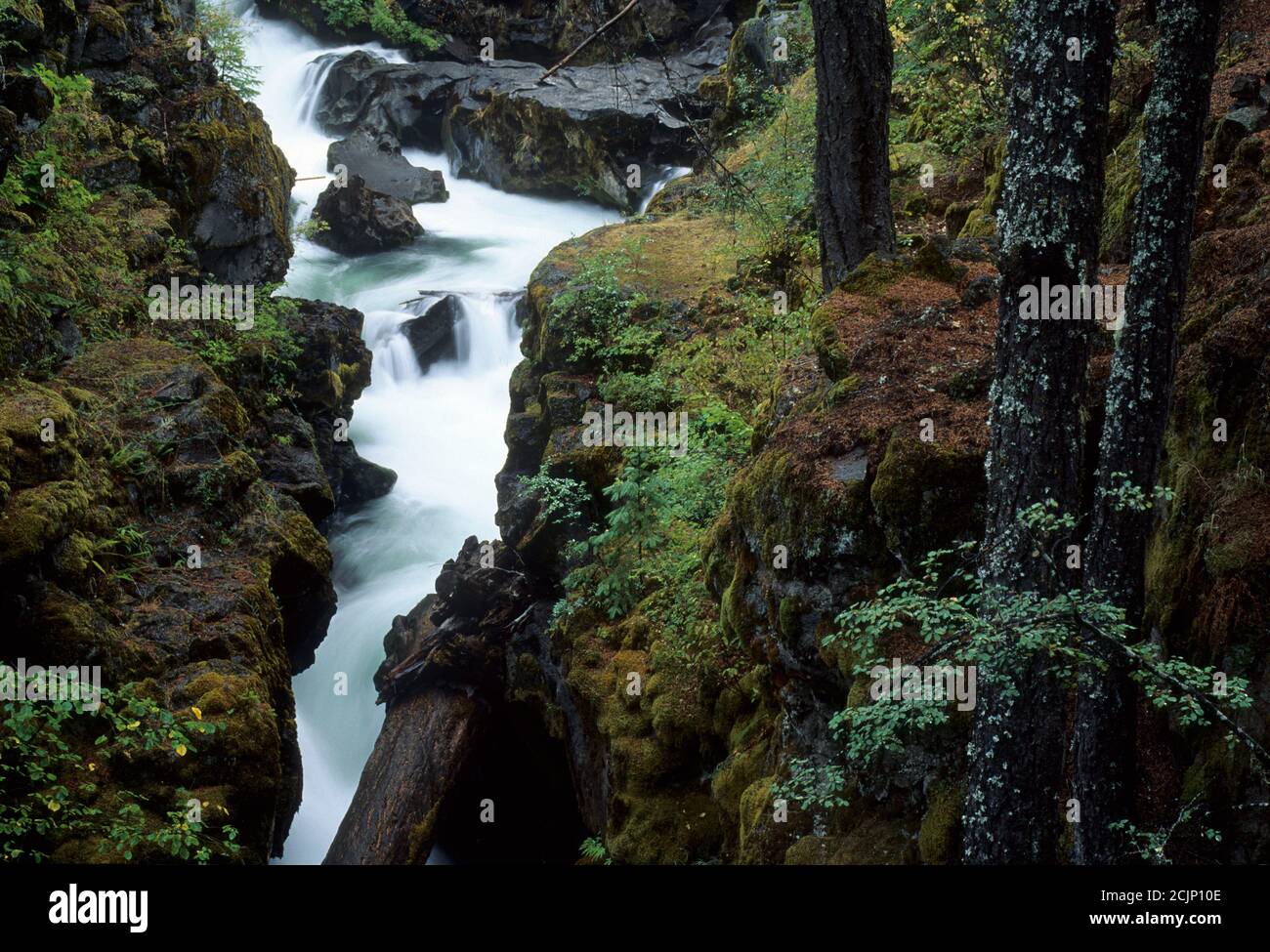 Rogue River Gorge, Rogue Wild and Scenic River, Rogue River National ...