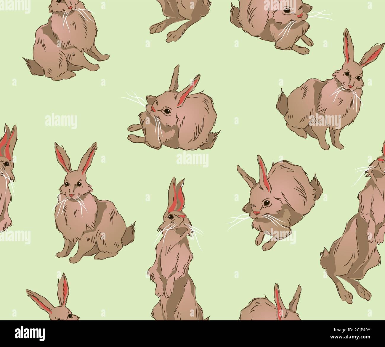 patterns with cute fluffy bunnies standing or sitting, llustration the ...