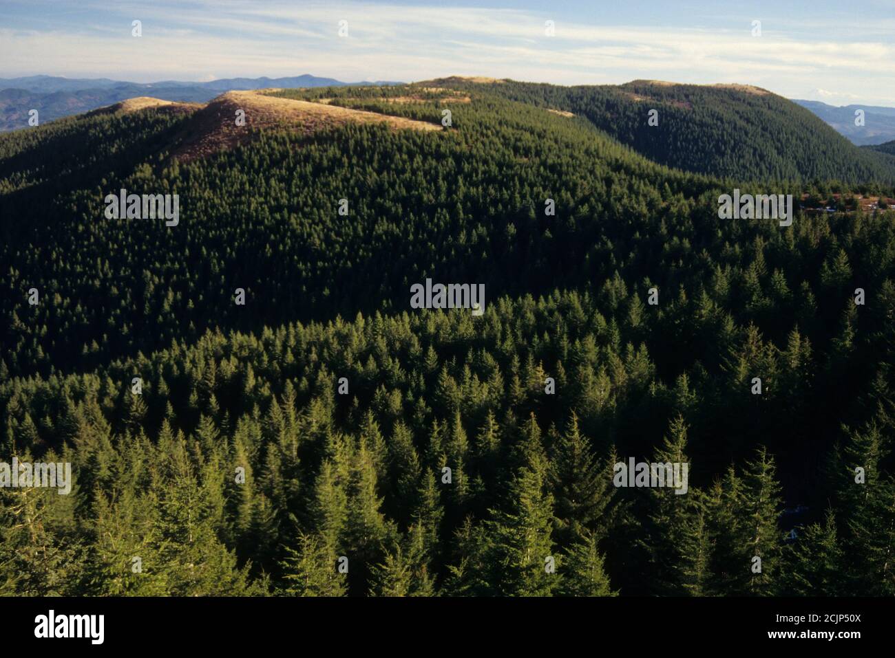 Mt hebo hi-res stock photography and images - Alamy
