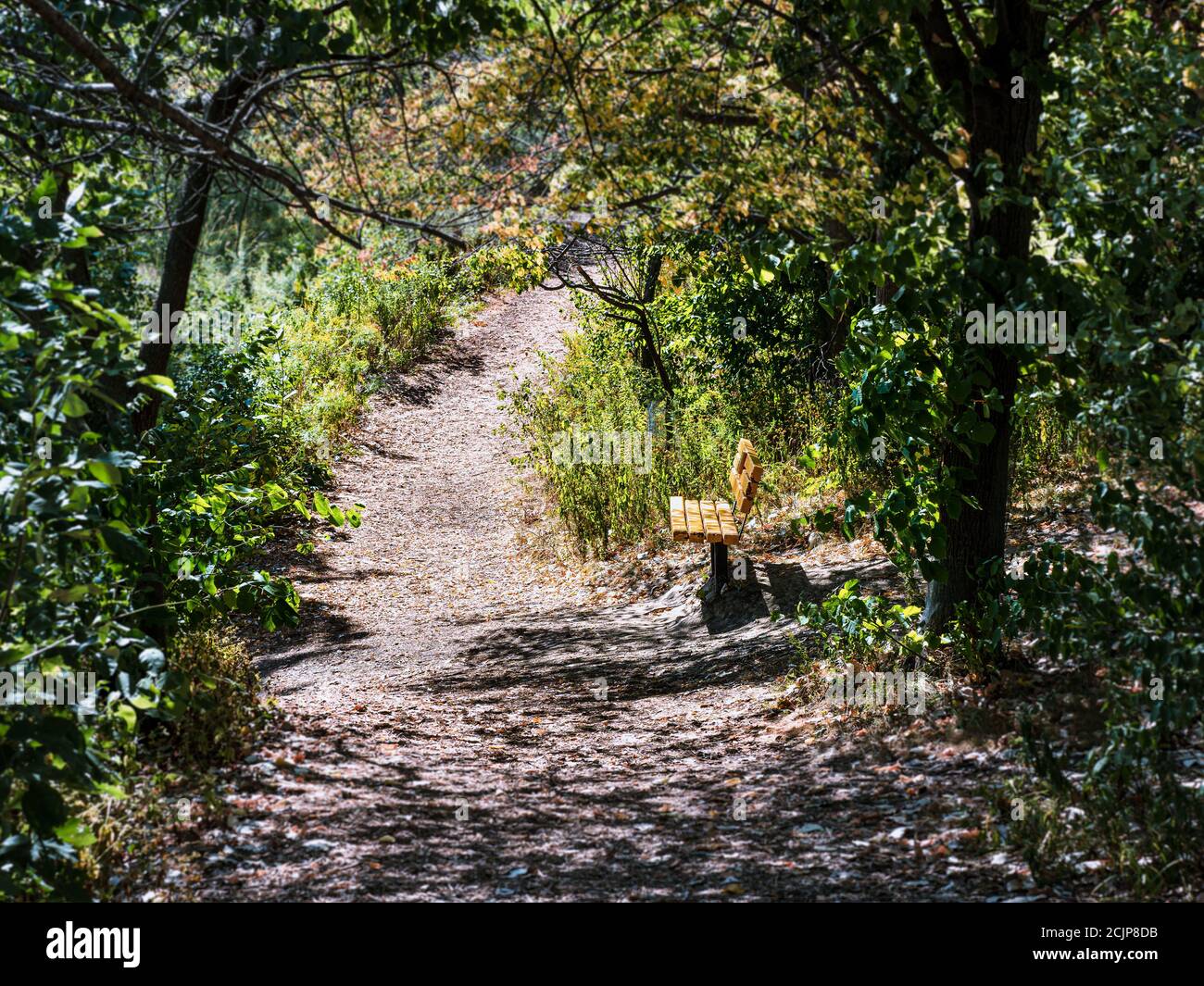 Nature trail and a resting place Stock Photo - Alamy