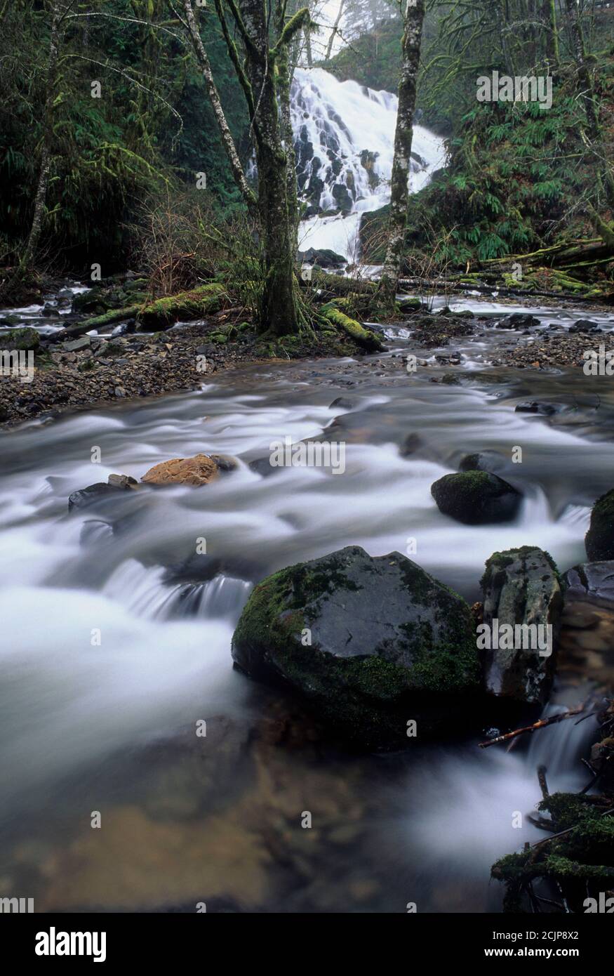 Fishhawk falls hi-res stock photography and images - Alamy