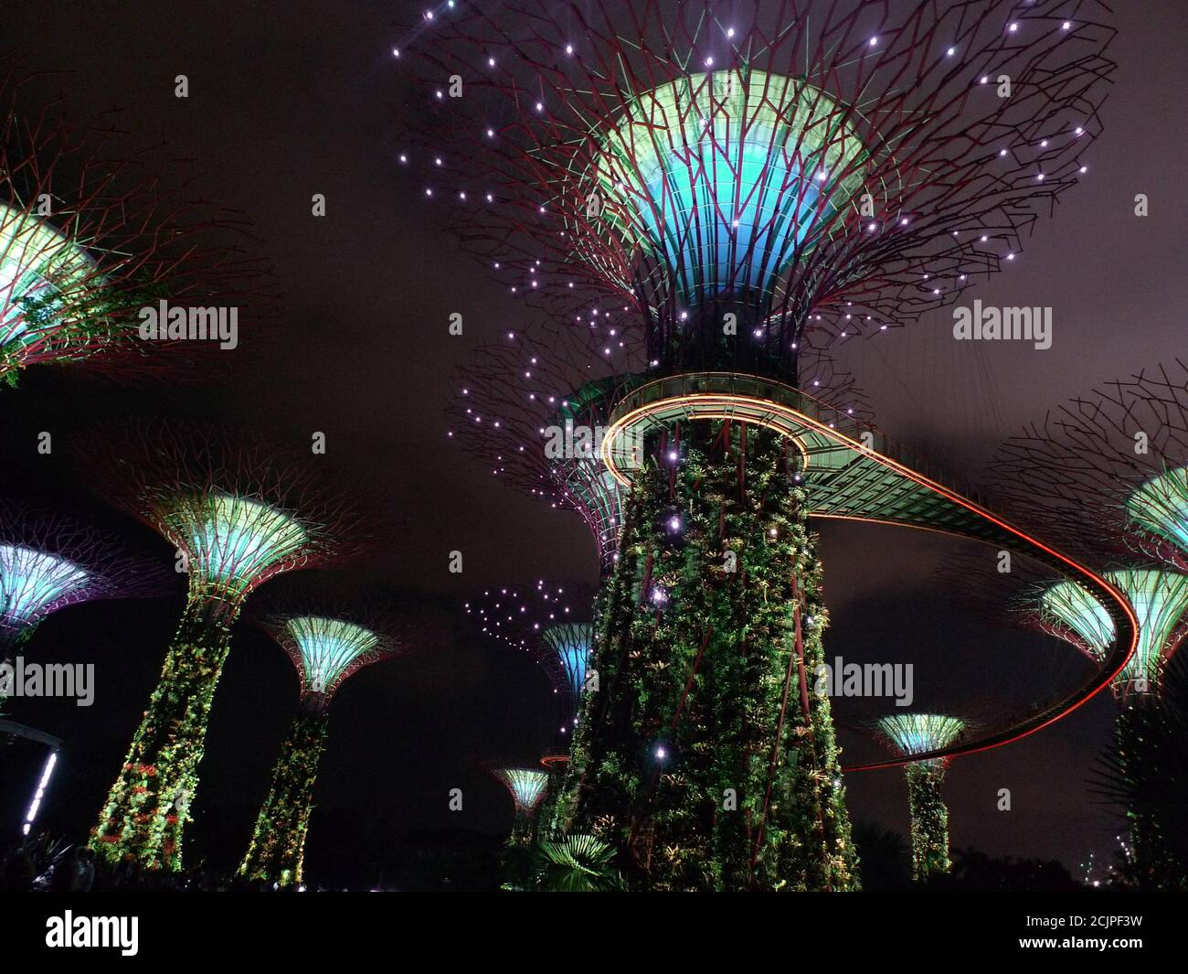 Super trees hi-res stock photography and images - Alamy