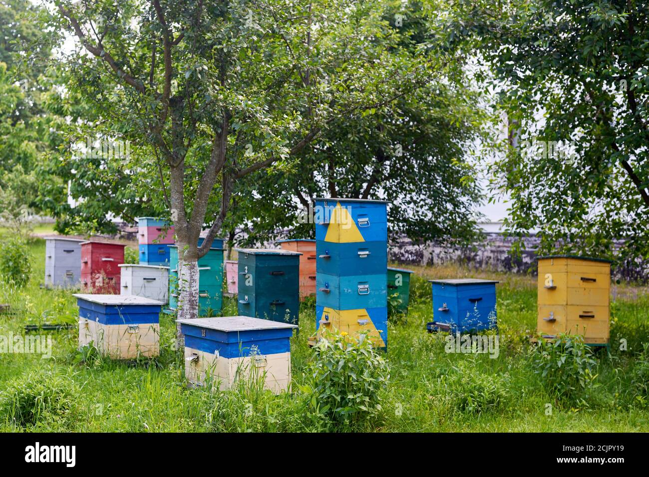 Beehives stand hi-res stock photography and images - Alamy