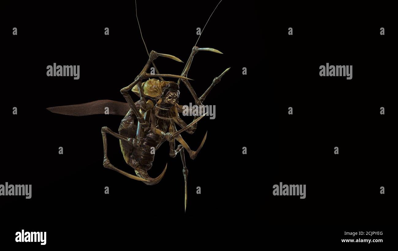the evil bug 3d render Stock Photo - Alamy