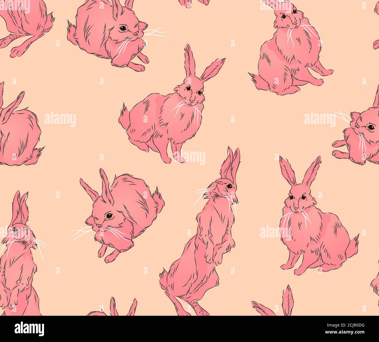patterns with cute fluffy bunnies standing or sitting, llustration the ...