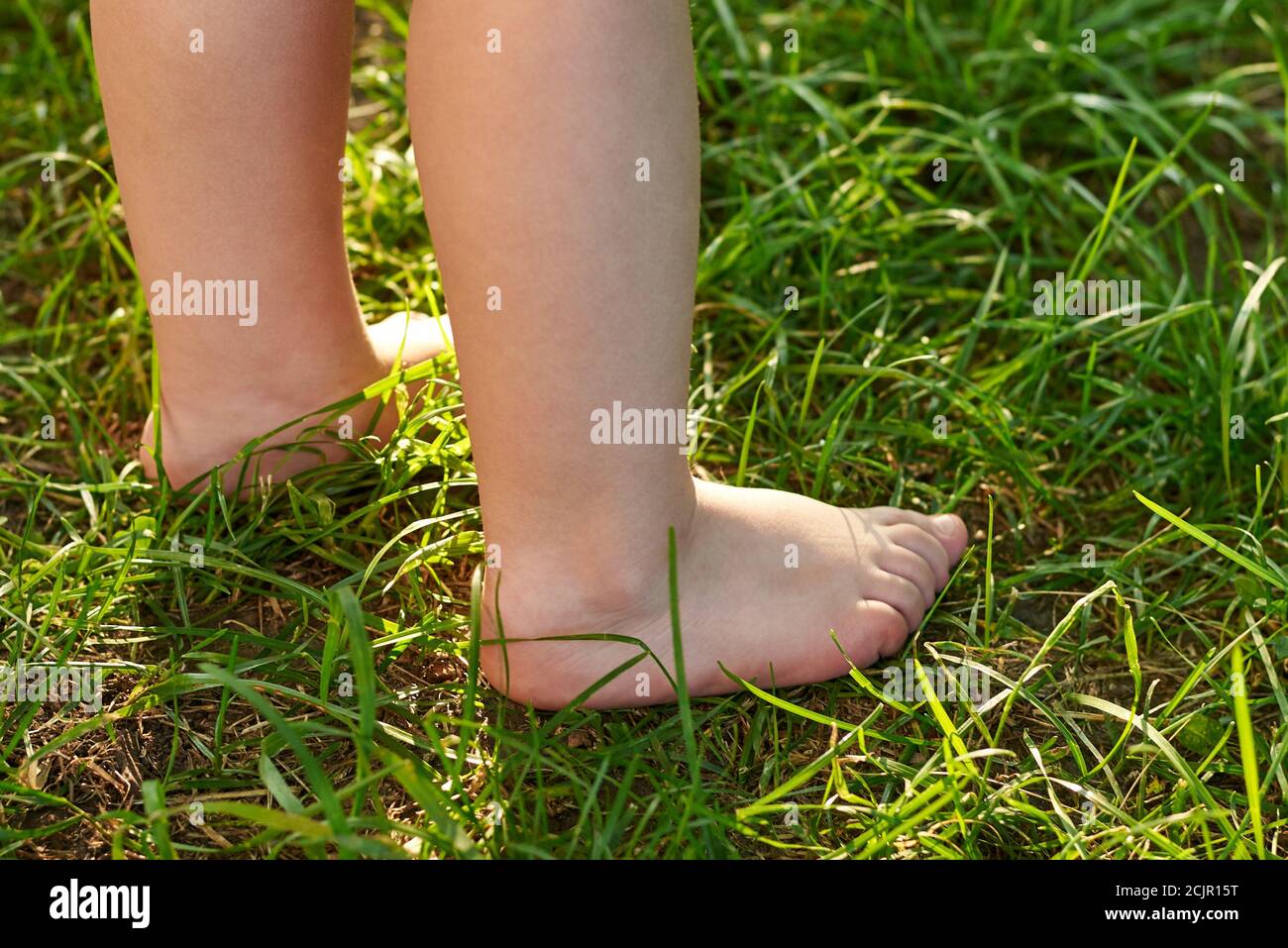 The feet of a small child on the grass, walking on bumps, the ...