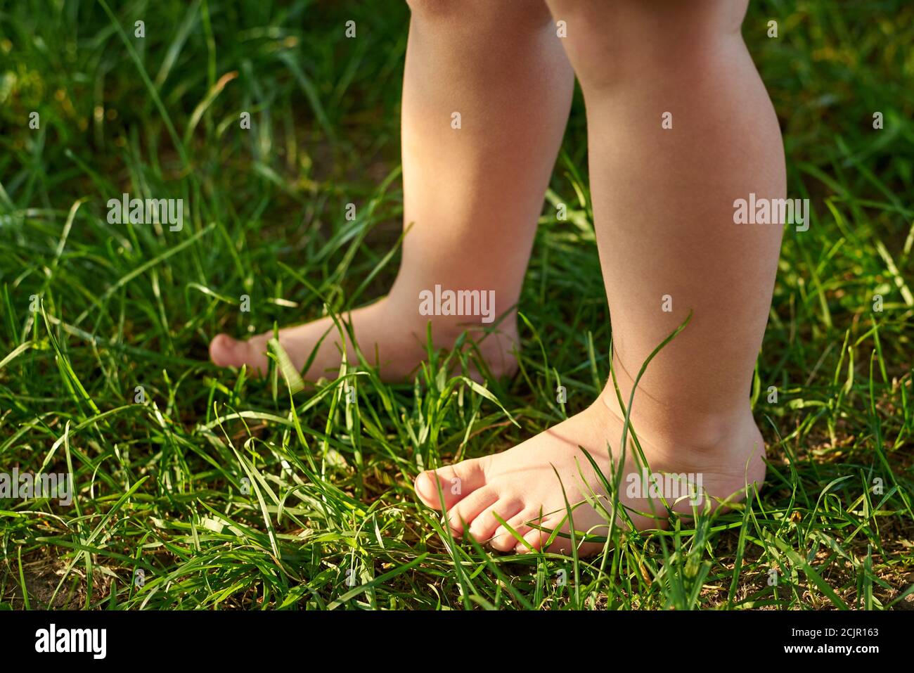 The feet of a small child on the grass, walking on bumps, the ...