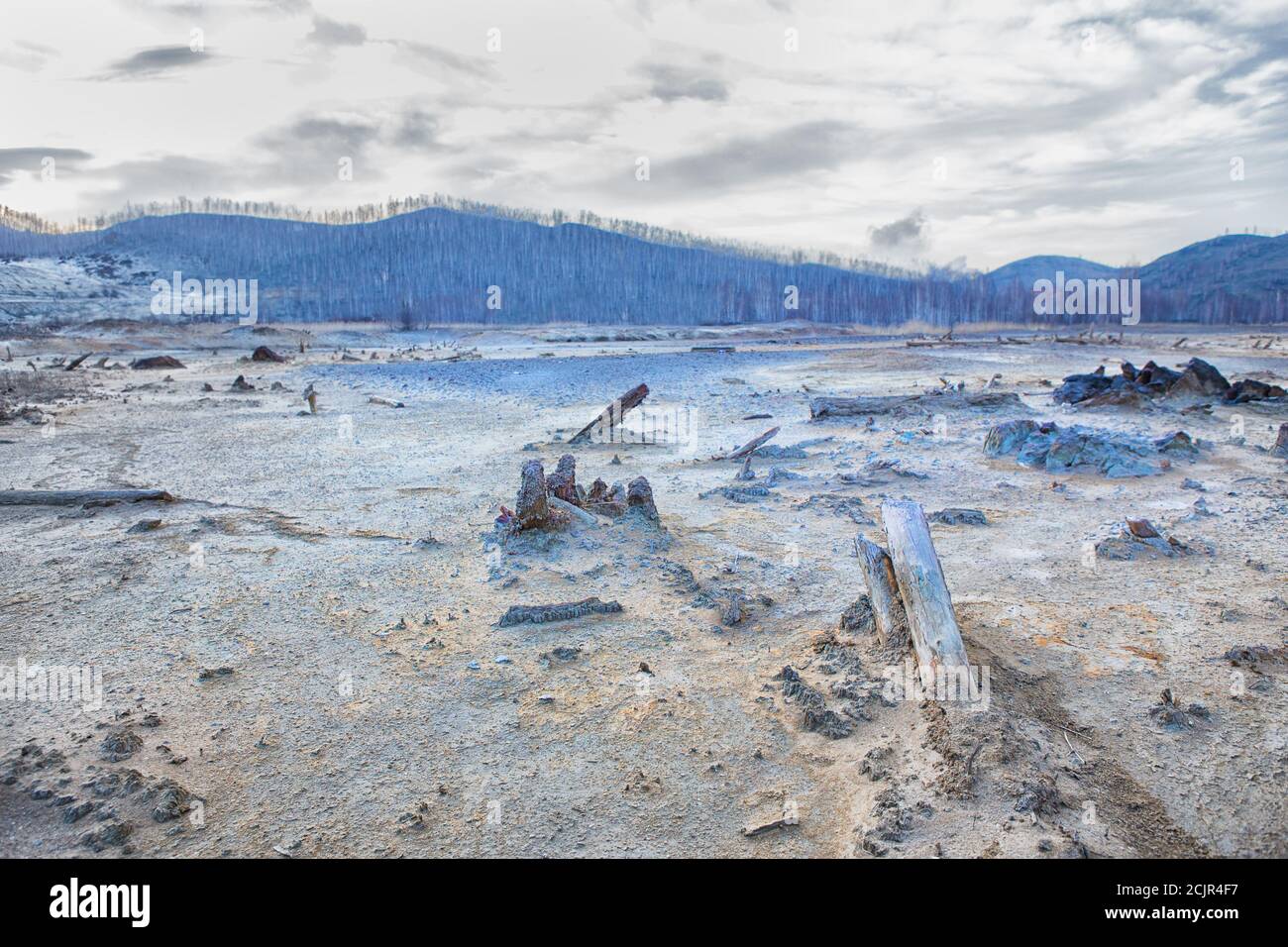 ecological disaster in desert died-out vegetation Stock Photo - Alamy