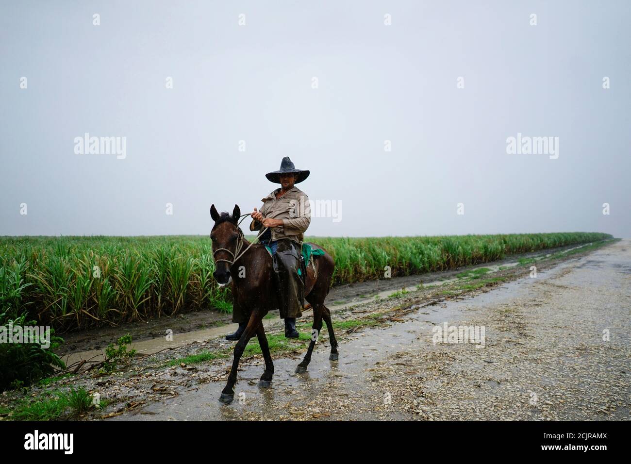 Las mangas hi-res stock photography and images - Alamy