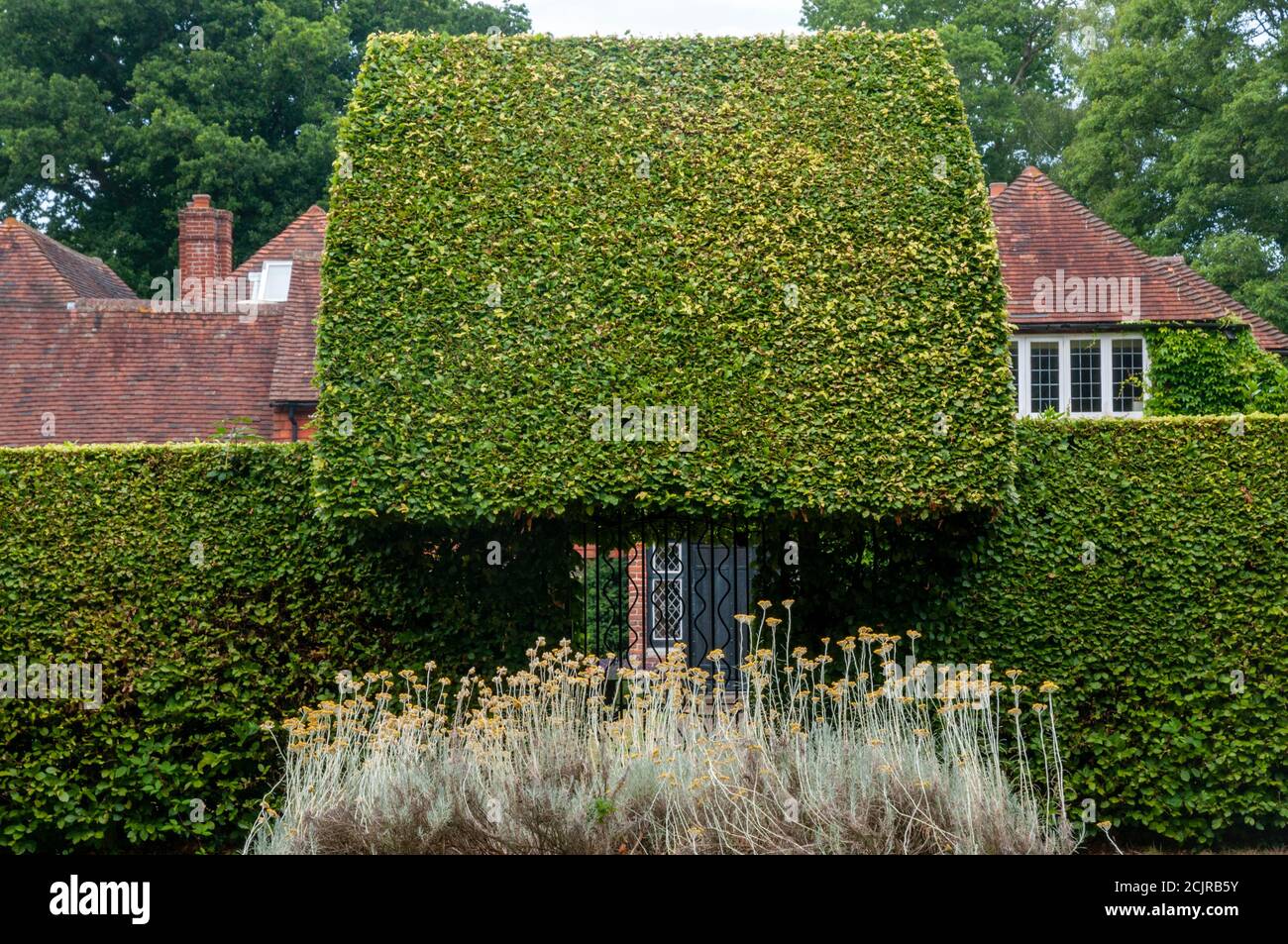 Large house with an impressive front garden hedge near Scaynes Hill in ...