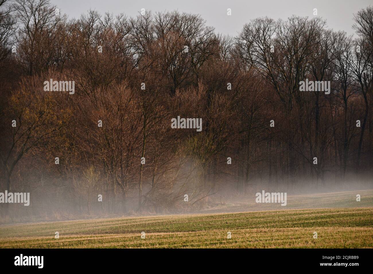 Passing hail storm hi-res stock photography and images - Alamy