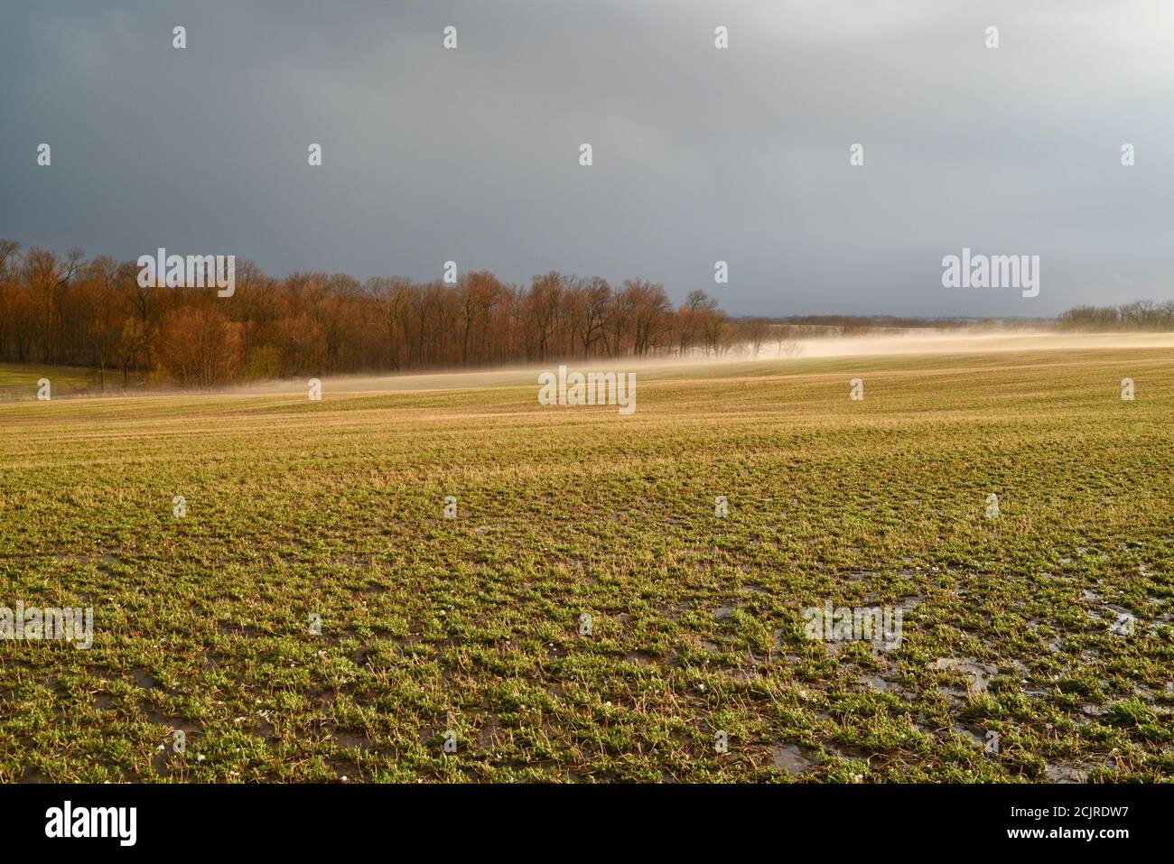Icy hail covered farm fields, mist rising from ground, with passing ...