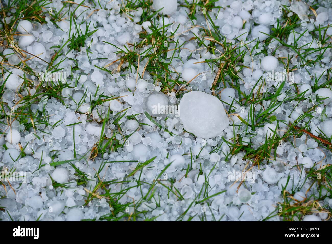 Large hail stones in severe storm striking rural home and property ...