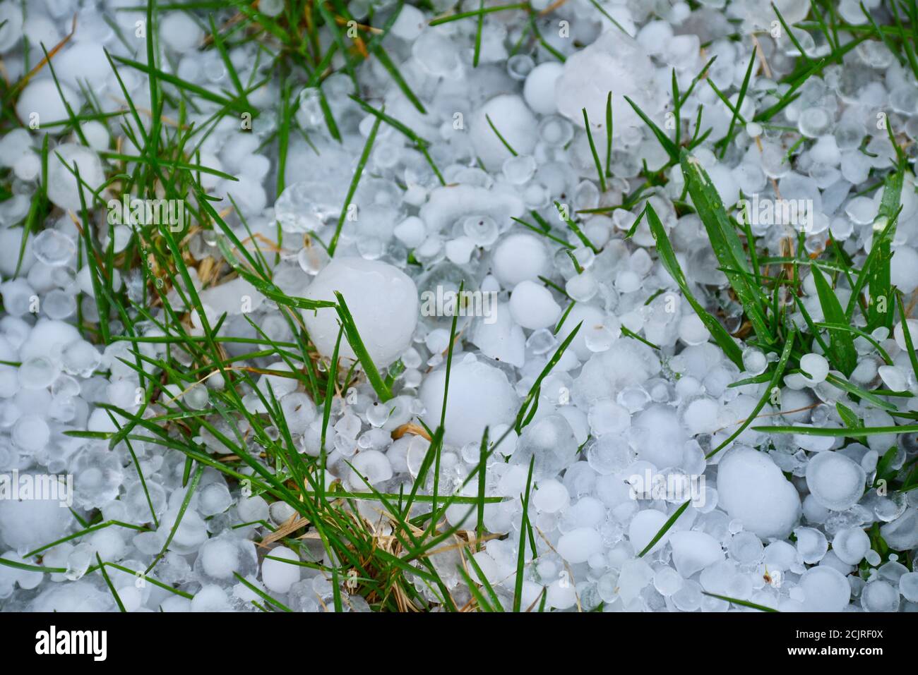 Large hail stones in severe storm striking rural home and property ...