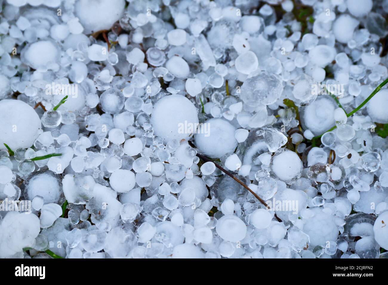 Large hail stones in severe storm striking rural home and property ...