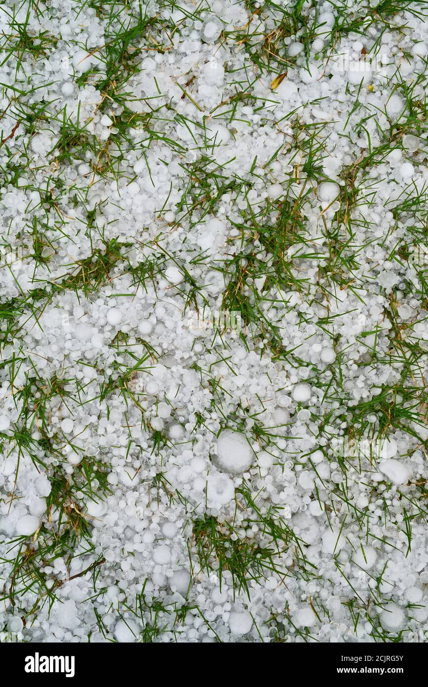 Large hail stones in severe storm striking rural home and property ...