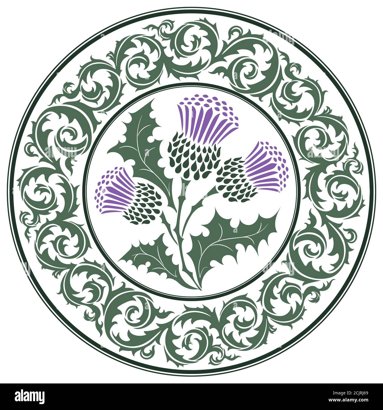Scottish Thistle Vector