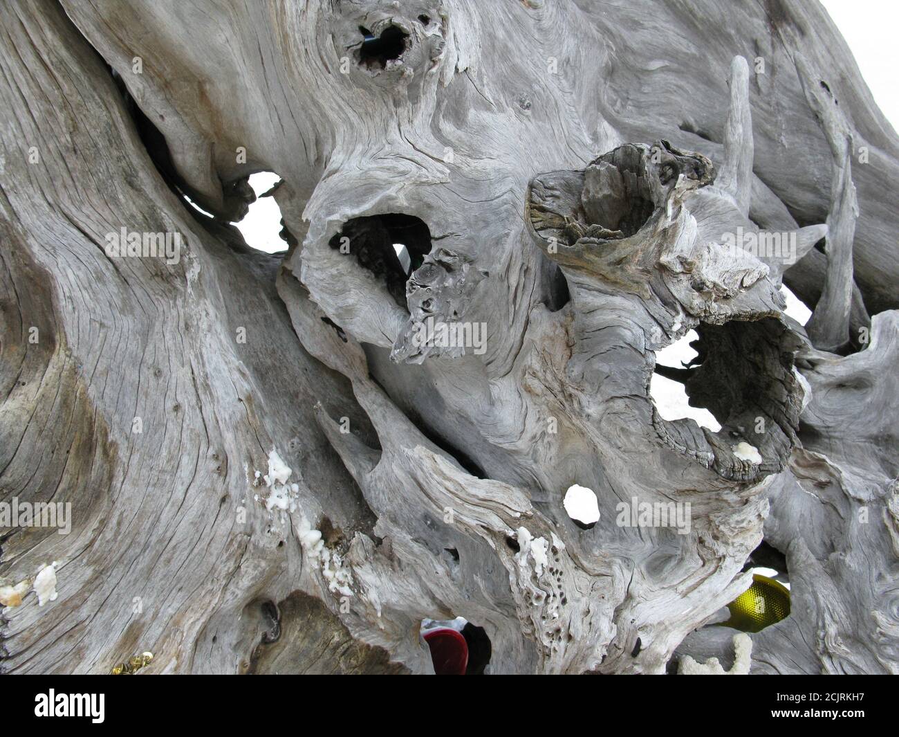 Wizened hi-res stock photography and images - Alamy